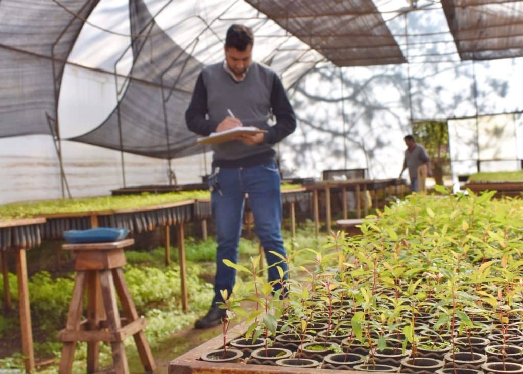 Programa de reforestación sostenible - A Todo Pulmón